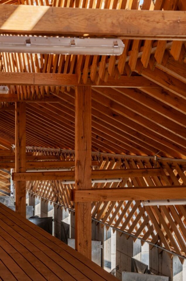 Black Slavonian Eco Pig Farm | Skroz