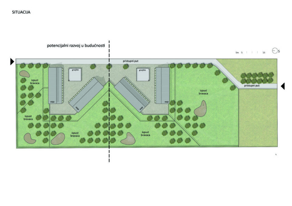 Black Slavonian Eco Pig Farm | Skroz